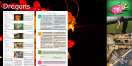 Dragon Word Cards - Adjectives to Describe a Dragon - Twinkl