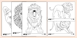 Lion Mindfulness Colouring Pages - Twinkl - KS1