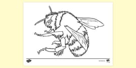 Bee Colouring Sheet - Bee Template - World Bee Day - Twinkl