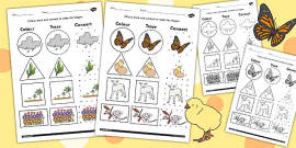 Dinosaur 2D Shape Colour Trace and Join the Dots