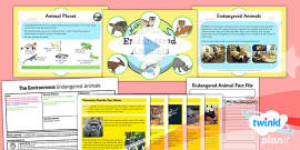 Endangered Animals PowerPoint | Twinkl Resource