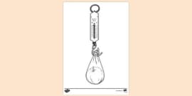 What is a Metre? Explanation / Definition - Twinkl