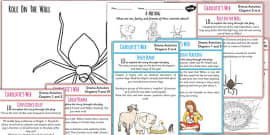 Charlotte's Web Display Posters (teacher made)