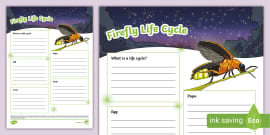 Life Cycle of Bees Fact File Template (teacher made)
