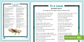 To a Mouse Robert Burns Poem (teacher made) - Twinkl