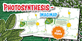 All About Beekeeping Mind Map - Twinkl