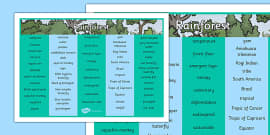 Jungle and Rainforest Sense Word Mat (teacher made)