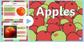Apple Life Cycle Emergent Reader (teacher made)
