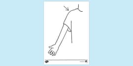 FREE! - Arm And Shoulder Muscles Colouring Sheet - Twinkl