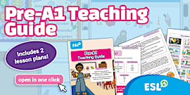 ESL The Verb 'To Be' English Lesson Plan Pack [Kids, A1]