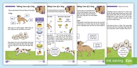 Parts of the Body of a Horse - Labelling Activity - Pets