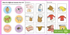 Cut Out Animal Shapes Activity - 2D Animal Pictures - Twinkl