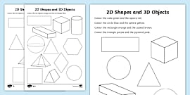 👉 2D and 3D Shape Sort Activity | Twinkl Maths Resources