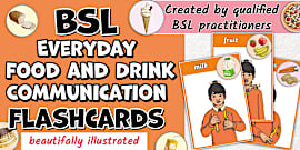 BSL Emotions and Feelings Flashcards