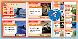 What Am I?' Amazon Rainforest Animal Riddles for KS2