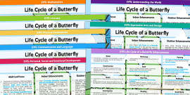 EYFS Life Cycle Lesson Plan Ideas (teacher made) - Twinkl
