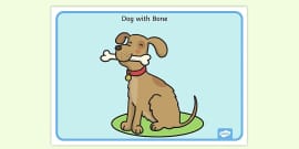 FREE! - Printable Dog Poster | Primary Educational Resource | Twinkl