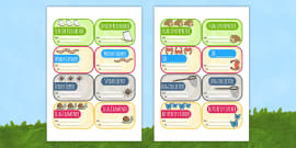 Minibeasts Investigation Lab Role Play Role Play Signs