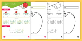 Pumpkin Investigation Worksheet | Printable | Twinkl