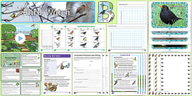 KS2 All about Garden Birds Differentiated Reading Comprehension Activity