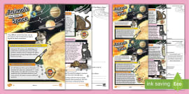 Apollo 13 LKS2 Reading Comprehension (teacher made) - Twinkl