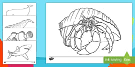 Sea Creature Cut-Outs