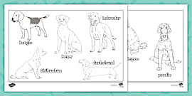 I Love Dogs Colouring Page, Dogs Colouring,dogs - Twinkl