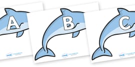 👉 Dolphin Display Banner for Classroom | Twinkl Displays