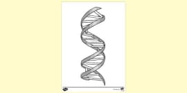 Earths Structure Colouring | Colouring Sheets (teacher made)