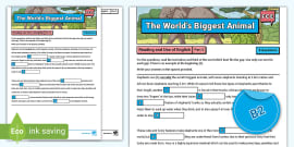 ESL B1 PET Reading Part 5 Practice (Holidays) (teacher made)