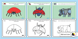 The Grouchy Ladybug Words Coloring Sheet (teacher made)