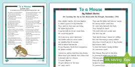 To a Mouse by Robert Burns Translation Activity - Twinkl