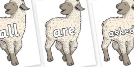 FREE! - Tricky Words on Bees (teacher made) - Twinkl