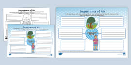 Plant Roots Mind Map (teacher made) - Twinkl