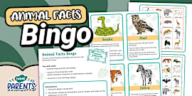 Animal Top Card Game for KS1-KS2
