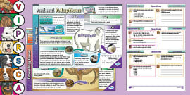 Animal Adaptation PowerPoint (teacher made) - Twinkl