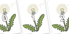 FREE! - Dandelion Seed Colouring | Colouring Sheets