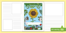 What is SEED writing - Twinkl