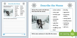 Moose Cloze Activity (teacher made) - Twinkl