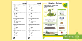 Pythons Differentiated Worksheet / Worksheets