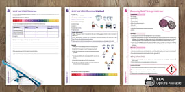 Red Cabbage Indicator Investigation (Science Lab) | Beyond