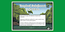 Tropical Rainforest Climate Display Poster (Teacher-Made)
