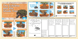 Australian Echidna Facts | Information + Resources | Twinkl