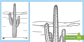 KS2 Cactus Fact File (teacher made) - Twinkl