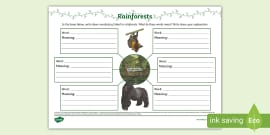 Helping the Rainforest Mind Map (teacher made) - Twinkl