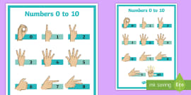 Sign Language Alphabet Signs (teacher made)