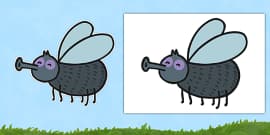 House Fly Craft Instructions - Teacher-made Primary Resource