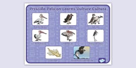 Priscilla Pelican learns Vulture Culture: Reading Comprehension