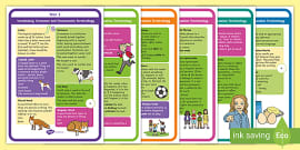 Year 6 Vocabulary Grammar and Punctuation Terminology Display Posters