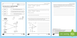 The Hunter and the Hunted Worksheet / Worksheet